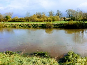 Campingplatz Ebing | Campstar